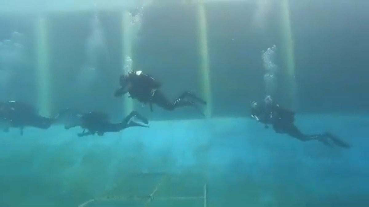 Curso buceador recolector - PRODITECH